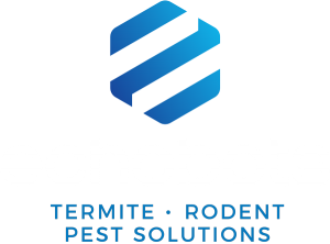 Rodent Pest Control Near Me, Best Rat Removal Company | Echobots ...